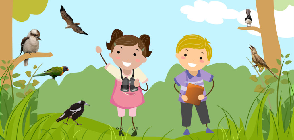 Backyard Birds – Adventures at your place