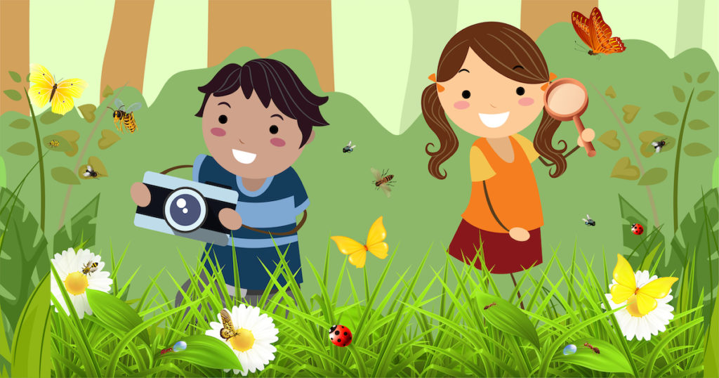 Wild Pollinators – Adventures at your place