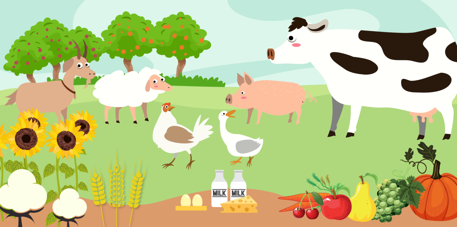 Food and Fibre – Adventures at your place