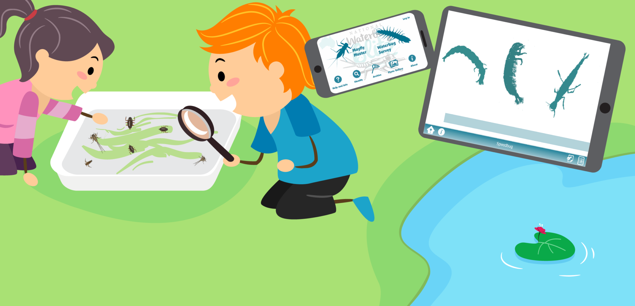 Waterbugs – Adventures at your place