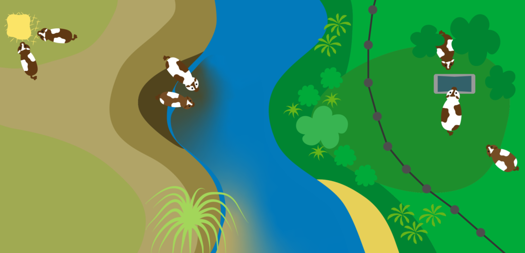 The Riparian Zone – Adventures at your place