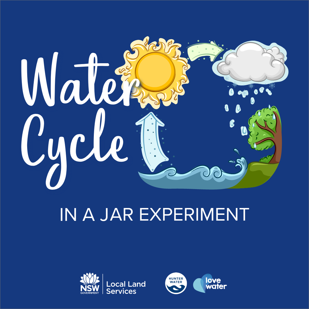 National Water Week Challenges – Adventures at your place