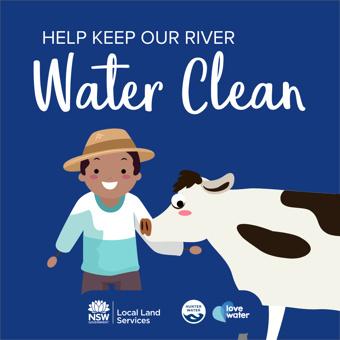 National Water Week Challenges – Adventures at your place
